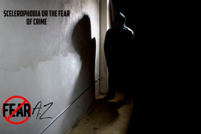 The Fear of Crime - Scelerophobia