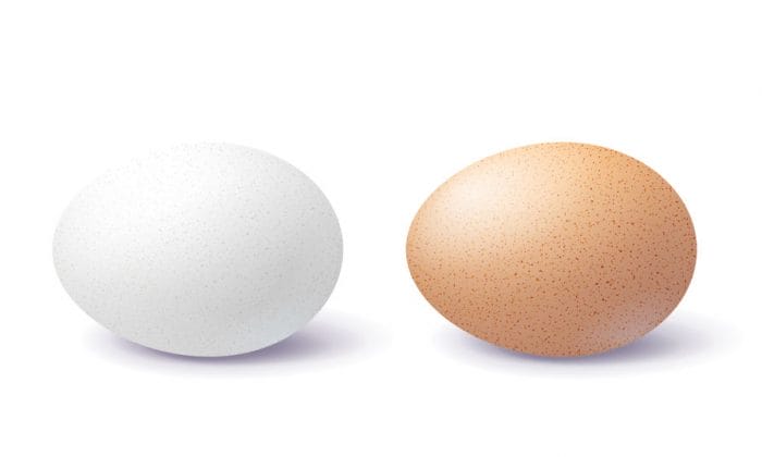 Ovophobia - Fear of Eggs [Control the Phobia with Education]
