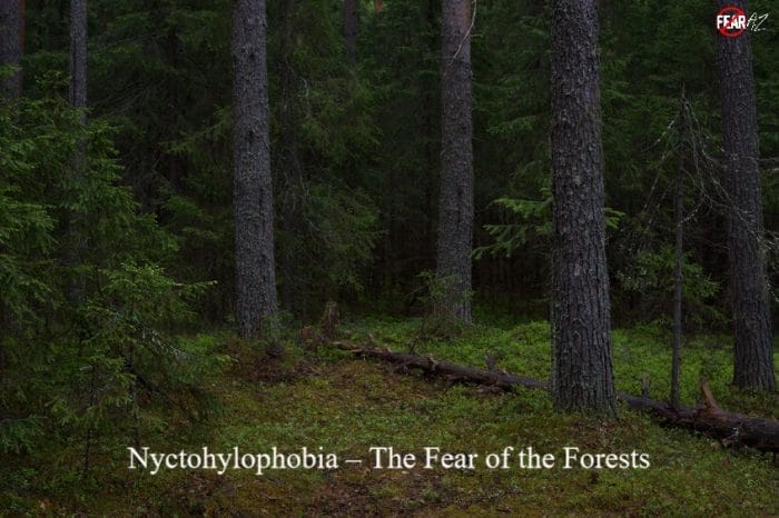 Nyctohylophobia - Fear of Forests at Night