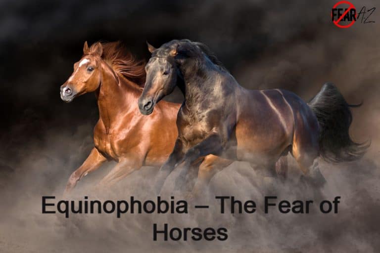 Equinophobia - Fear of Horses