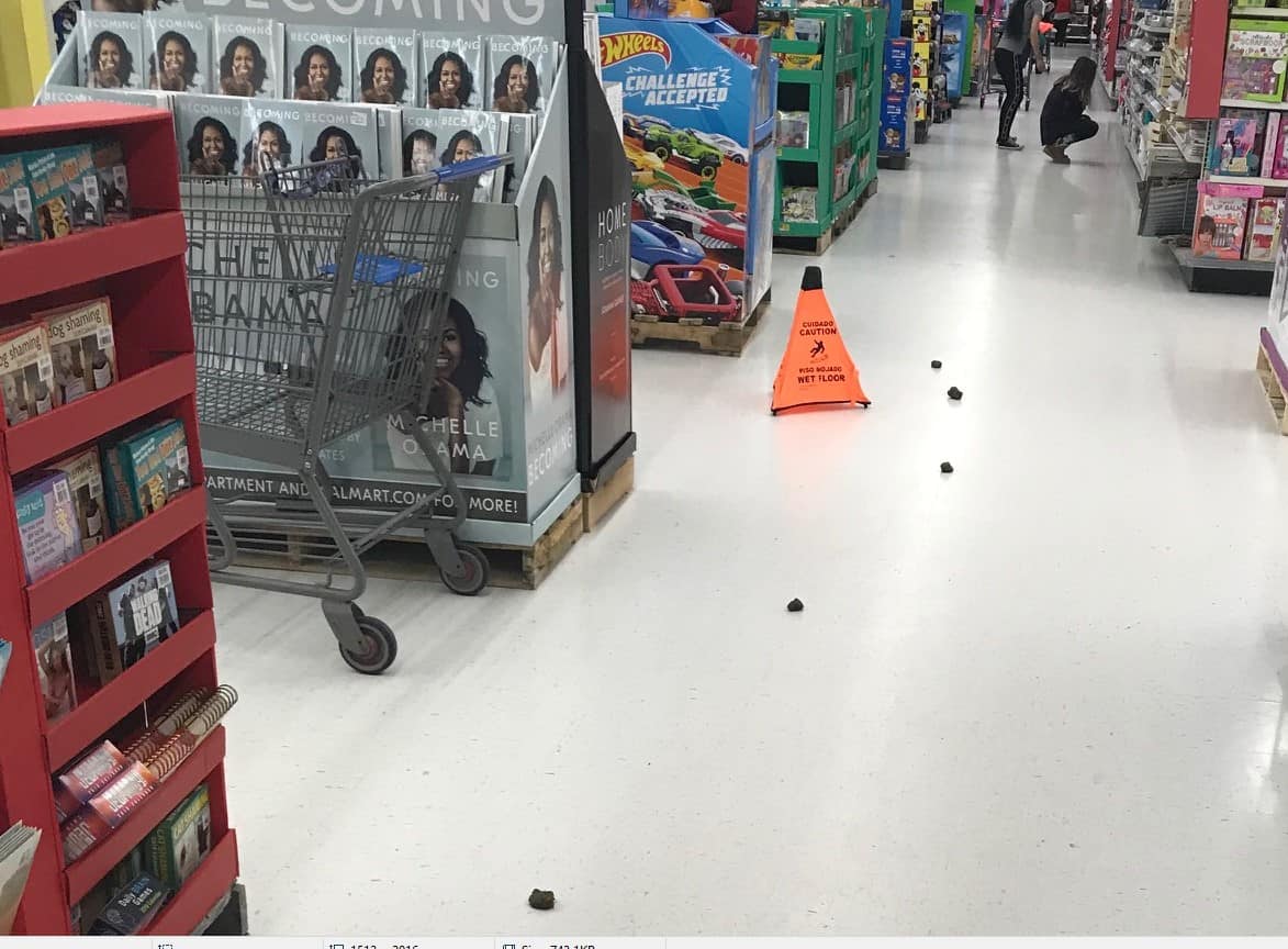 Scatophobia - The Fear of Fecal Matter or Feces