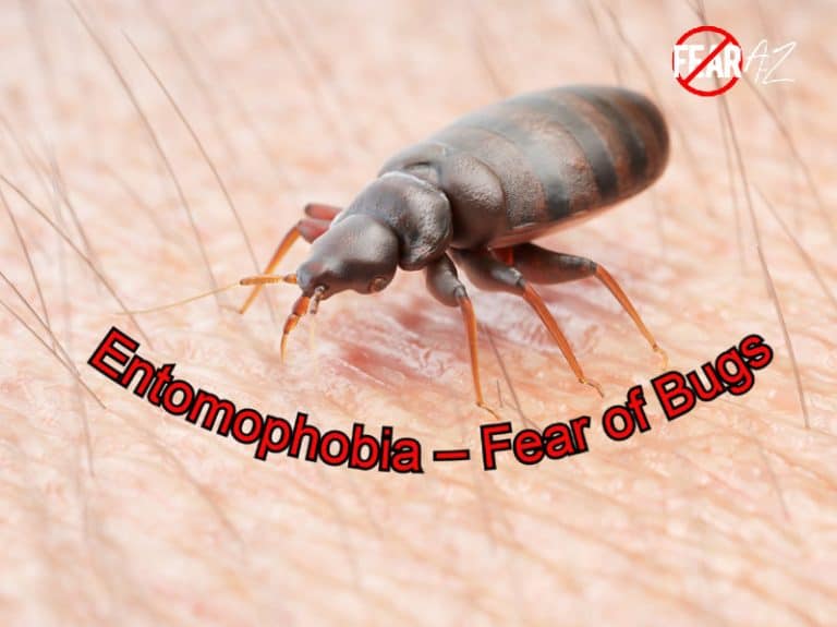 Entomophobia - Fear of Bugs