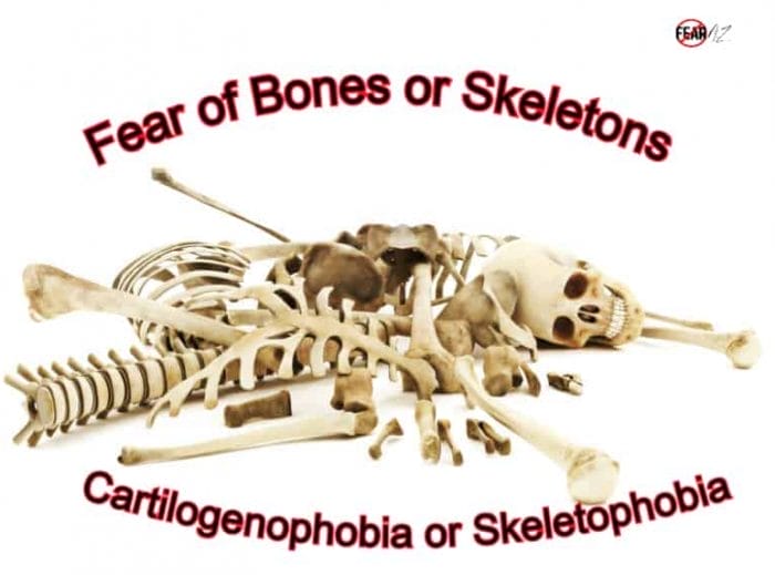 Fear of Bones or Skeletons