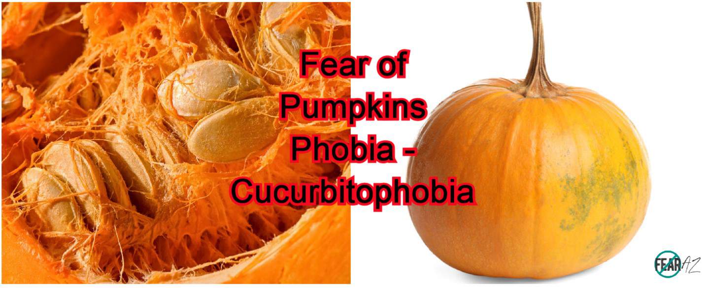 Fear of Pumpkins - Cucurbitophobia