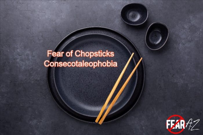 Fear of Chopsticks - Consecotaleophobia