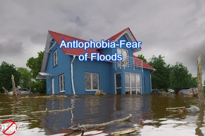 Antlophobia - Fear of Floods